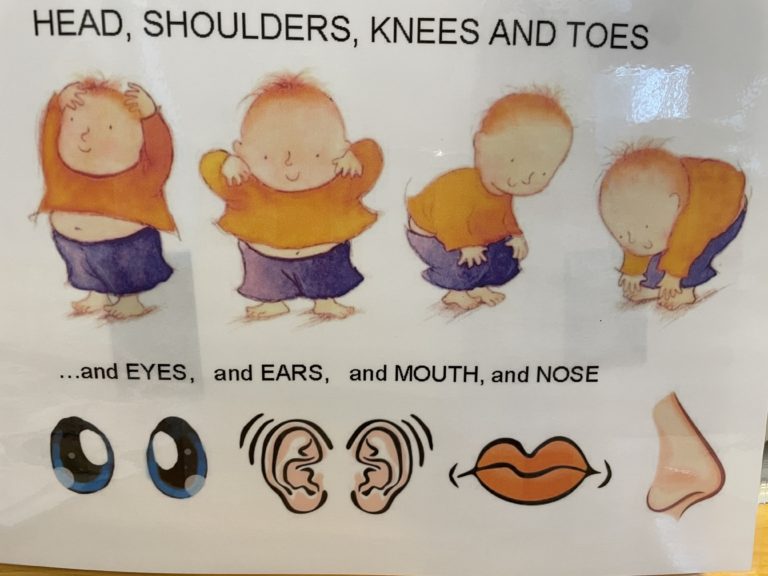 Head, Shoulders, Knees and Toes / Emotions - 小規模認可保育園 はぐくみ保育園