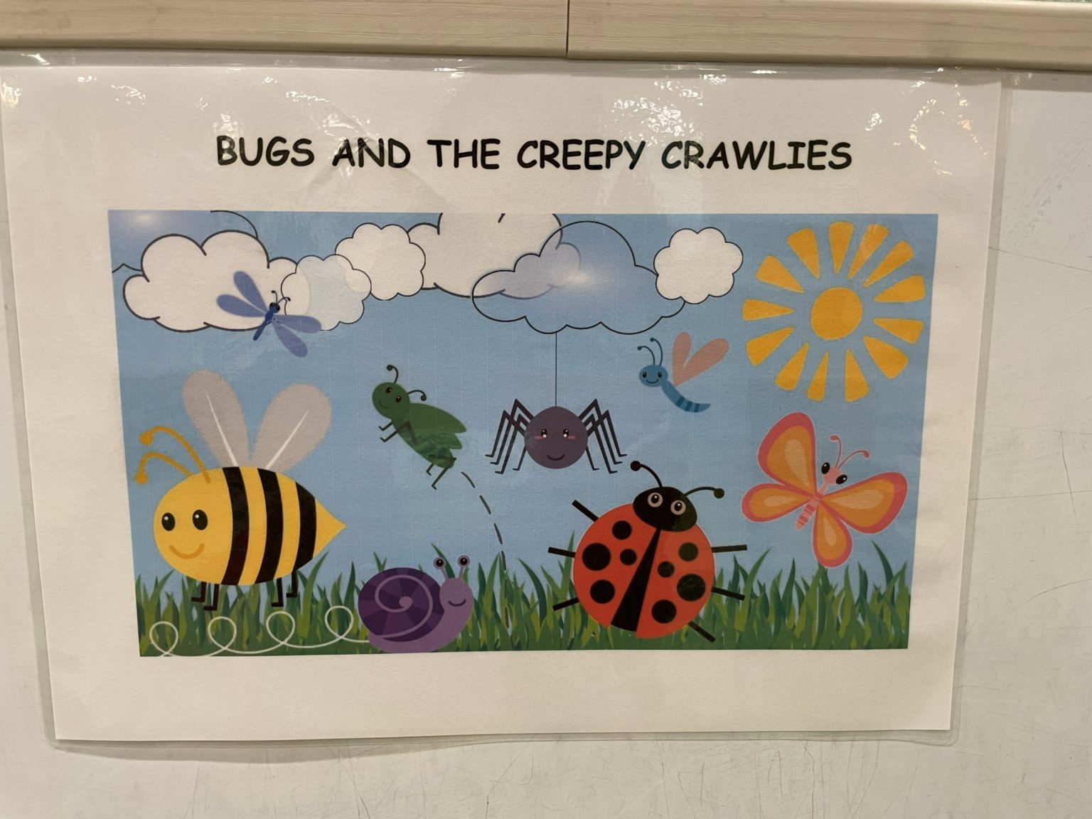 Bugs and Creepy Crawlies - 小規模認可保育園 はぐくみ保育園